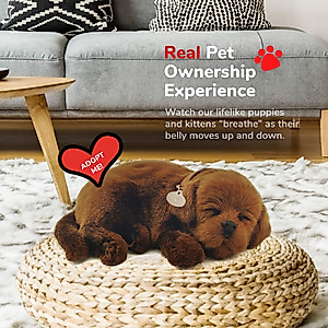 Perfect Petzzz - Original Petzzz Chocolate Lab, Realistic, Lifelike Stuffed Interactive Pet Toy, Companion Pet Dog with 100% Handcrafted Synthetic Fur