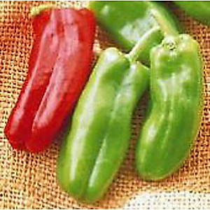 Giant Marconi Sweet Peppers Seeds (20+ Seeds) | Non GMO | Vegetable Fruit Herb Flower Seeds for Planting | Home Garden Greenhouse Pack