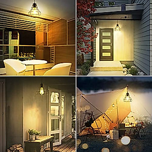 GOSUNWEY Solar Pendant Lights Outdoor Indoor with Remote, Chicken Coop Lights Solar Powered Shed Light with ON Off Switch,Solar Indoor Lights for House Garage Greenhouse Patio Barn Storage
