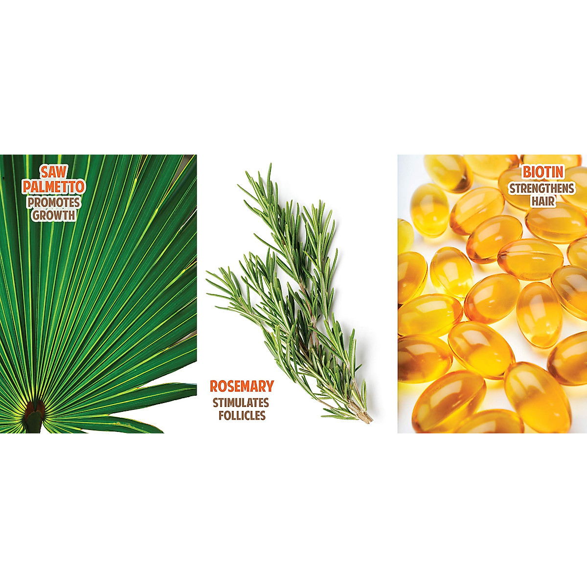 Organic Hair Growth Booster with Pro Vitamin-B5, 6 fl oz - DHT-Blocker, Sulfate-Free & Paraben-Free - for Thinning & Receding Hair - Color Safe for Men, Women & Teens by OHE