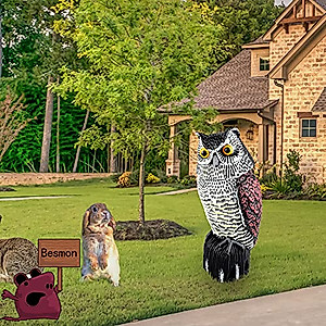 Rolan Owl Decoy Model Used to Scare Birds Away - Flashing Eyes & Frightening Sound Owls for Bird Control