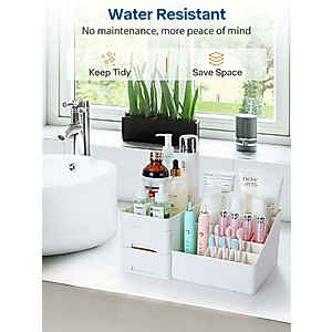 BREIS Makeup Organizer for Vanity, Large Skincare Organizers with Drawers, Make Up Organizers and Storage for Lipstick Cosmetics Makeup Brushes Lotions Perfumes Eyeshadow