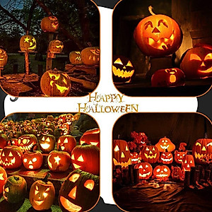 Pumpkin Carving Kit, Halloween Decorations Stainless Steel Pumpkin Carving Tools, Pumpkin Carving Kit for Adults, Carver Tool with Carrying Bag, Family DIY Carving Pumpkins Gift (17PCS)