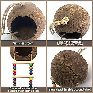 Hanging Coconut Bird House with Ladder,Natural Coconut Fiber Shell Bird Nest for Parrot Parakeet Lovebird Finch Canary,Coconut Hide Bird Swing Toys for Hamster,Bird Cage Accessories,Pet Bird Supplies
