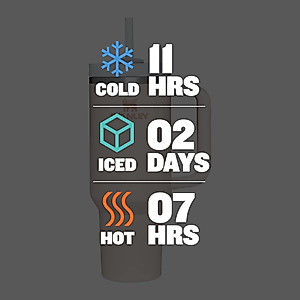 Stanley Quencher H2.0 FlowState Stainless Steel Vacuum Insulated Tumbler with Lid and Straw for Water, Iced Tea or Coffee, Smoothie and More, Rose Quartz, 40 OZ / 1.18 L