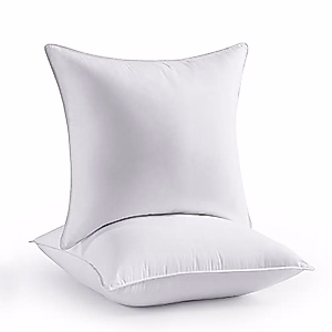 Seward Park Throw Pillow Inserts 20 x 20 in Set of 2 for Couch and Sofa, Soft Fluffy Square Form Down Alternative Cushion Decorative Pillow Inserts