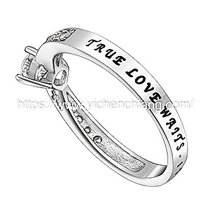 Spirit & Truth True Love Waits Message on a Stunning Majesty Ring High Polish Stainless Steel (6)