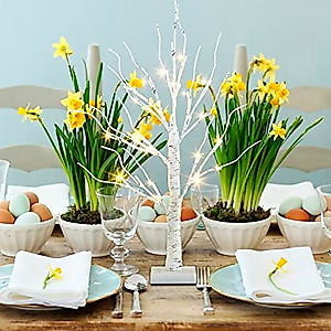 PEIDUO Easter Decorations for The Home, Easter Tree Battery Powered Timer, Lighted Birch Tree with LED Lights, Artificial Tree Lamp for Easter Home Decor (2FT Warm White)