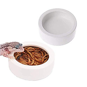 Tfwadmx 2 Pack Reptile Food Bowl, Mini Ceramic Water Feeder Bowl, Reptile Worm Feeding Dish for Lizard Turtle Bearded Dragon Anoles Crested Gecko Hermit Crab Leopard Gecko Chameleon Corn Snake