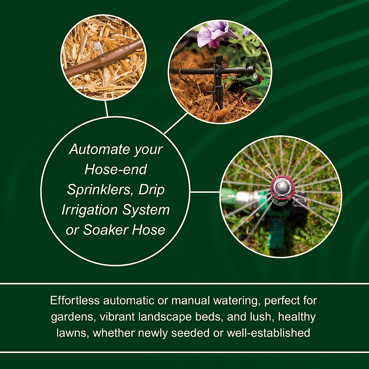 Rain Bird 1ZEHTMR Professional Grade Electronic Digital Hose End Timer/Controller, One Zone/Station, Battery Operated