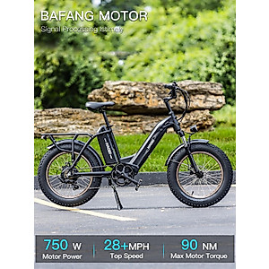 HAOQI Antelope Black Electric Bike for Adults 48V 25AH Removable Dual Lithium Battery, 750W Motor, 20" x 4.0 Fat Tire Step-Thru Ebike up to 28MPH, 7-Speed