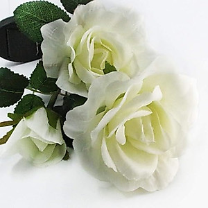 Solar Flowers Lights Outdoor Garden Decor 2 Pack, Waterproof White Rose for Grave Yard Patio Flower Bed Path Cemetery Decorotions Outside, Valentines/Mothers Day Birthday Gifts for Mom Women Grandma