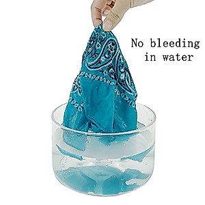 Vamqor 12pcs Bandana for women and men 100% Cotton Custom Fashion Paisley Design Multifunctional Outdoor Square Handkerchief（White）