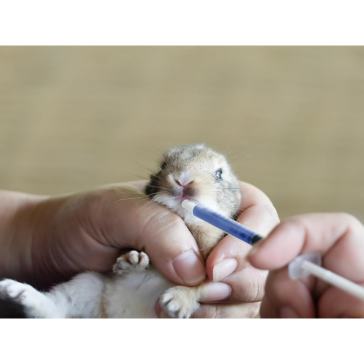 Blue 50 Pcs 1ml 1cc Plastic Syringe No Needle Syringe for Pets Oral, Refilling, Oil or Glue Applicator, Measuring or Transfering Tiny Amount of Liquids, Without Cap