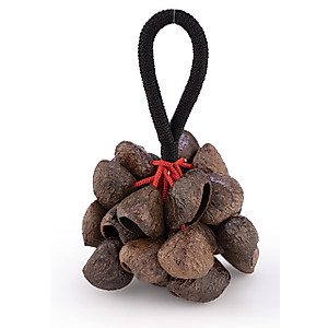 Pearl Pangi Nut Shaker with Rope Handle (PBPGRH14)