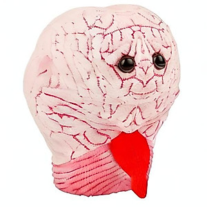 GIANTmicrobes Brain Plush, Brain Toy, Brain Stuffed Animal, Brain Gifts For Neurologist, Brain Surgery Recovery Gifts, Neurology Gifts, Neuroscience Gifts, Brain Injury Gift, Brain Decor, Biology Gift