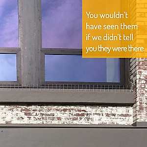 Bird Barrier Dura-Spike Stainless Steel Bird Spikes | Metal Pin Strips for Ledge, Roof, Pipe - Adhesive Included - Xtra Wide (8 in) 10 Ft. Length