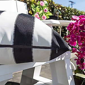 Homy Cozy 7H5241-20-Olivia Accent Pillow, 2 Count (Pack of 1), Black