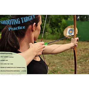 Zhao.Fu 29 Inch Carbon Arrow Practice Hunting Arrows Spine 400 with Removable Tips for Archery Compound & Recurve & Traditional Bow (12 Pcs)