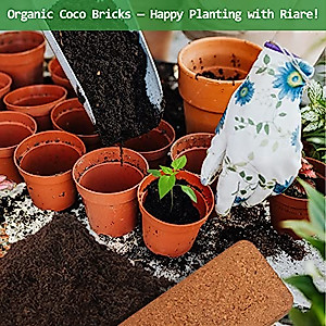 Riare 12pcs Organic Coco Coir Bricks Soil Blocks- 100% Natural Compressed Coco Peat Brick Coconut Fiber Substrate with Low EC& pH Balance, High Expansion Coco Coir Pith Coconut Husk for Garden