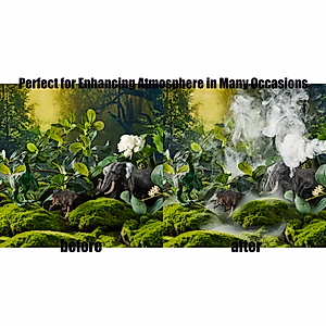 WHATAVAL Mini Fog Smoke Machine Fogger Maker Wireless Remote Control Volume Adjustable Generator Kit for Photography Cosplay Airflow Testing