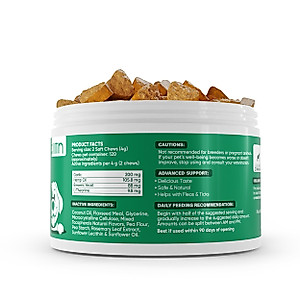 LOLLITIN Flea & Tick Dog Supplement - Made in USA - All Natural - Dog Chews 120 Count - Bacon Flavor - Dog Supplements - Natural Repellent