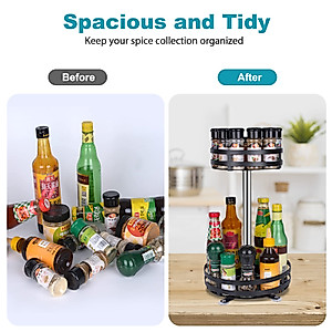 Lazy Susan Spice Rack 2 Tier Organizer for Kitchen Countertop Cabinet Pantry 10 inch Stainless Steel 360° Rotating Spice Rack (Black)