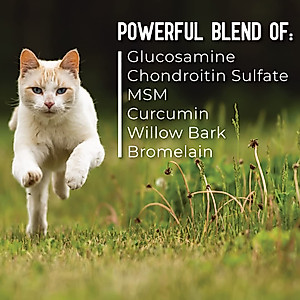 ACTIVPHY Hip + Joint Mobility Collar for Cats with Glucosamine, Chondroitin, MSM, and More | Convenient & Easy | 30 Days of Continuous Support | Water Resistant, Adjustable