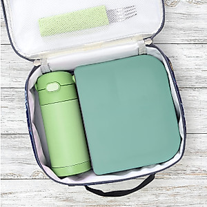 PrimaStella Unbreakable Silicone Lunch Box for Kids and Adults - Leak Proof Divided Bento Box (Green)