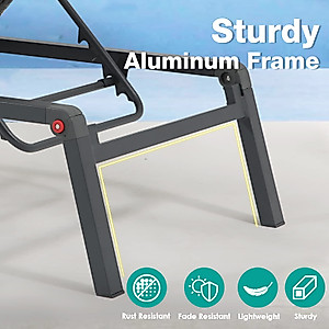 Patiorama Patio Chaise Lounge Set of 2, Aluminum Outdoor Folding Lounge Chair, All-Weather PE Rattan Wicker Adjustable Reclining Lounge Chair for Outside,Portable Sun Lounger for Beach Lawn Pool-Grey