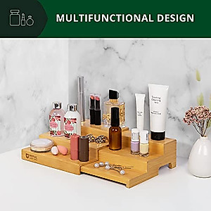 ROYAL CRAFT WOOD Bamboo Spice Organizer for Cabinet - Tiered Spice Rack Organizer for Cabinet or Countertop, Pantry Step Shelf (15.16"x 8.3" x 3.3")