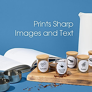 2.25" X 1.25” Direct Thermal Labels, Perforated Barcode Address Labels, Compatible with Rollo & Zebra Desktop Printers - 10 Rolls, 1000/Roll