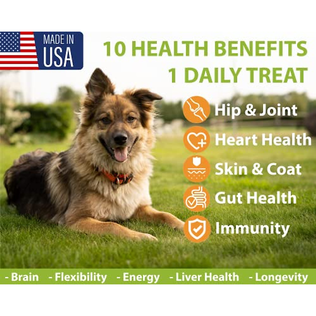 Googipet 10 in 1 Dog Multivitamin with Dog Probiotics for Gut Health, Dog Vitamins and Supplements with MSM & Glucosamine for Dogs Hip & Joint Support - Chondroitin & Omega 3 Fish Oil for Skin & Coat