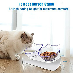 UPSKY Cat Bowls Elevated Cat Food Water Bowls Set, 15° Tilted Raised Cat Bowls, Anti Vomiting Cat Dish Pet Feeder Bowls with Stand for Indoor Cats and Small Dogs