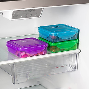 Tafura Sandwich Containers (3 Pack) Sandwich Box | Lunch Containers | Sandwich Containers for Lunch Boxes | Reusable Sandwich Holder, BPA Free