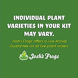 Josh's Frogs Tarantula Vivarium Bioactive Plant Kit (3x3x6 Terrarium)