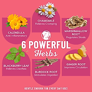 Fido's Digestion Bone Broth for Dogs - Grass-Fed Beef Bone Broth Powder & Organic Herbs - Supports Digestion & Gut Health - Dog Food Topper for Dry Food - 60 Scoops