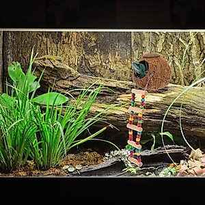 Ipetboom Toys Reptile Decor Terrarium Hideout House for Pet Hideout with Ladder Toy Bed for Pet Breeding Nest Hanging Hideout Nest with Ladder Sleeping Nest Coconut Wooden Parrot Supplies