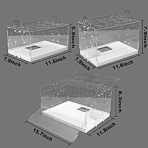 Hamster Transparent Tray Cage Acrylic Single Layer Villa Simple Cavie Guinea Pig Cage Pet Houses Habitats Supplies for Hamster Gerbils Dwarf Hamster Rat Guinea Pig (11.8 * 7.9 * 5.9)
