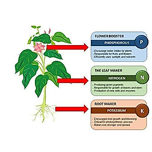 Horizen Bum Bum Bhole Organic Mustard Oil Cake Powder Fertilizer Manure for Plants Growth & Plant Nutrient (900 Gm)