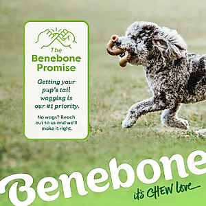 Benebone Tripe Bone Durable Dog Chew Toy for Aggressive Chewers, Real Tripe, Made in USA, Small