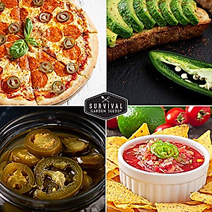 Survival Garden Seeds - Jalapeño Pepper Seed for Planting - Packet with Instructions to Plant and Grow Green or Red Chili Peppers in Your Home Vegetable Garden - Non-GMO Heirloom Variety - Single Pack