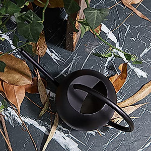 BDGWOIP Indoor Outdoor Watering Can, Stainless Steel Flower Cans Long Spout Plants Water Can Mini Device Plant Waterer for House Bonsai Garden Flower, Black, (33B15G0KNRFXX291L8GAWKSO)