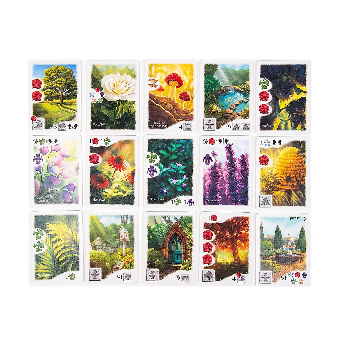 Flourish Signature Edition