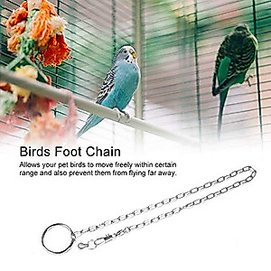 ViaGasaFamido Bird Leash, Stainless Steel Bird Foot Chain with Ring Parrot Ankle Foot Ring Anti-bite Outdoor Flying Training Rope(Grey Parrot)