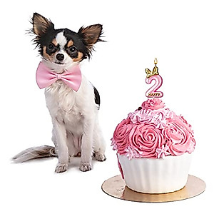 11 Pieces 2 Birthday Candle Girl Pink Number Birthday Cake Topper 2 Years Old Birthday Candle with White Dot Birthday Long Candles for Cake Topper Birthday Baking Decor Supplies, 2 Styles()