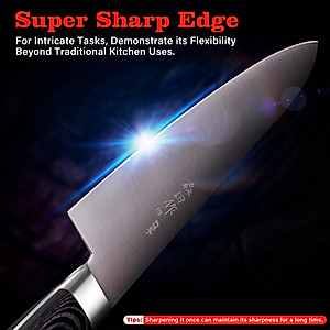 Sumteene Japanese Chef Knife 9.5 inches, Professional Sushi Knife with Green Ergonomic Handle, Sharp Japanese Knife, Japanese Gyuto Knife for Household or Work