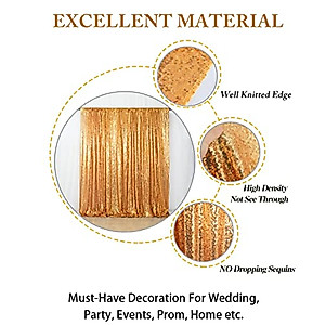 4FTx7FT-Gold-Sequin Backdrop Fabric Curtain Photo Backdrop Sequins Elegant Backdrops 4x7