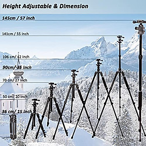 Alwayside Camera Tripod with Phone Holder and Bag, Aluminum Travel Tripod for Camera, DSLR Camema Tripod, Compact Professional Camera Tripod Monopod with 360 Panorama Ball Head, 1/4 QR Plate