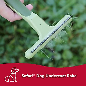 Coastal Pet Safari Dog Single Row Undercoat Rake - Undercoat Brush for Dogs with Medium and Long Hair - Dog Detangler Comb and Dematting Brush - Single Row